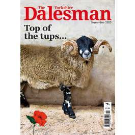 The Yorkshire Dalesman November 2023 issue